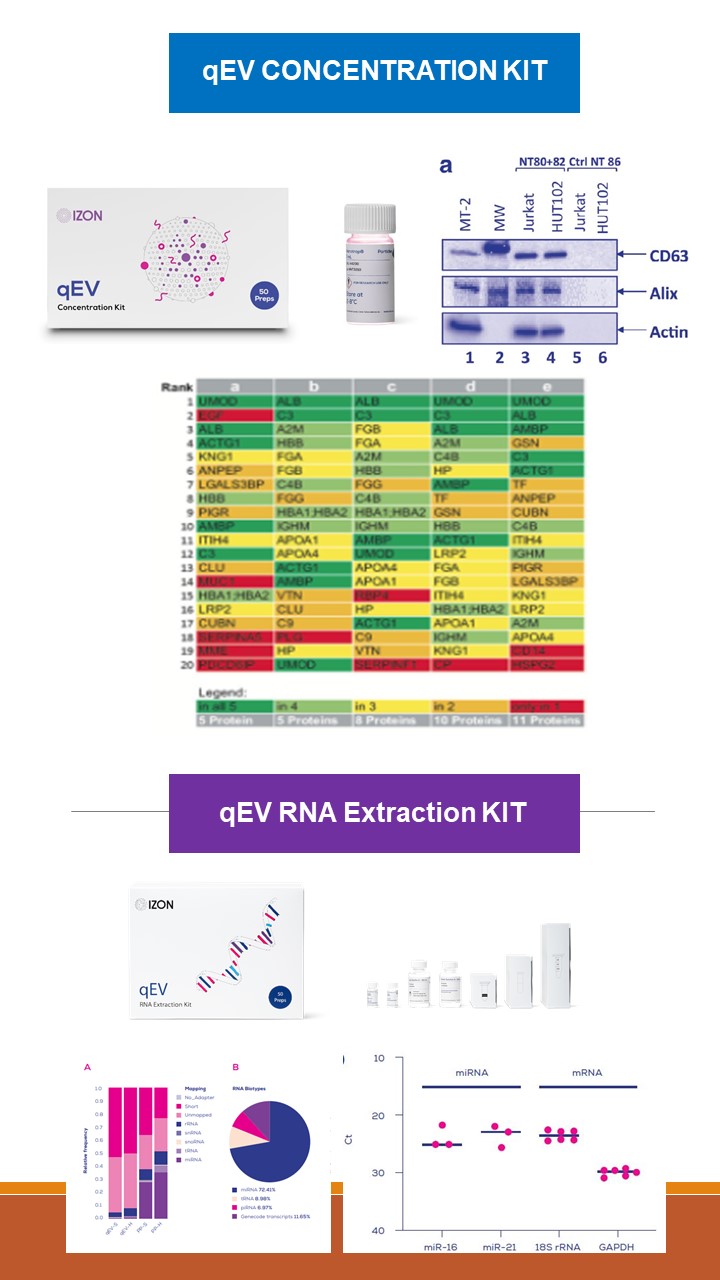 高純度自動化的qEV外泌體尺寸排阻色譜分離管柱｜諾曼達科技